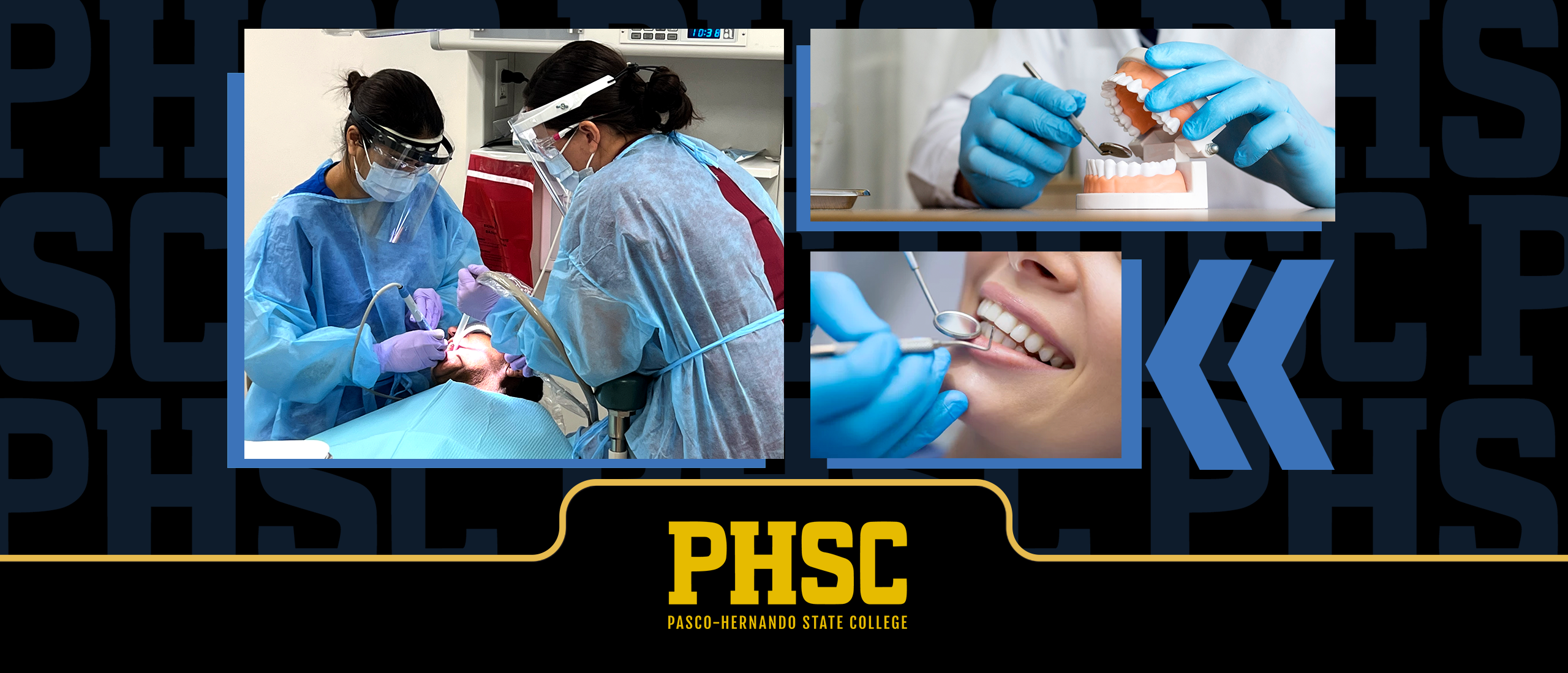 Stay Local, Go Far | PHSC