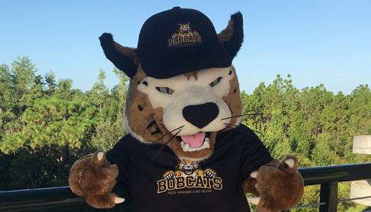 Stay Local, Go Far | PHSC