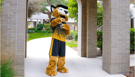 Your Future Begins Here | PHSC